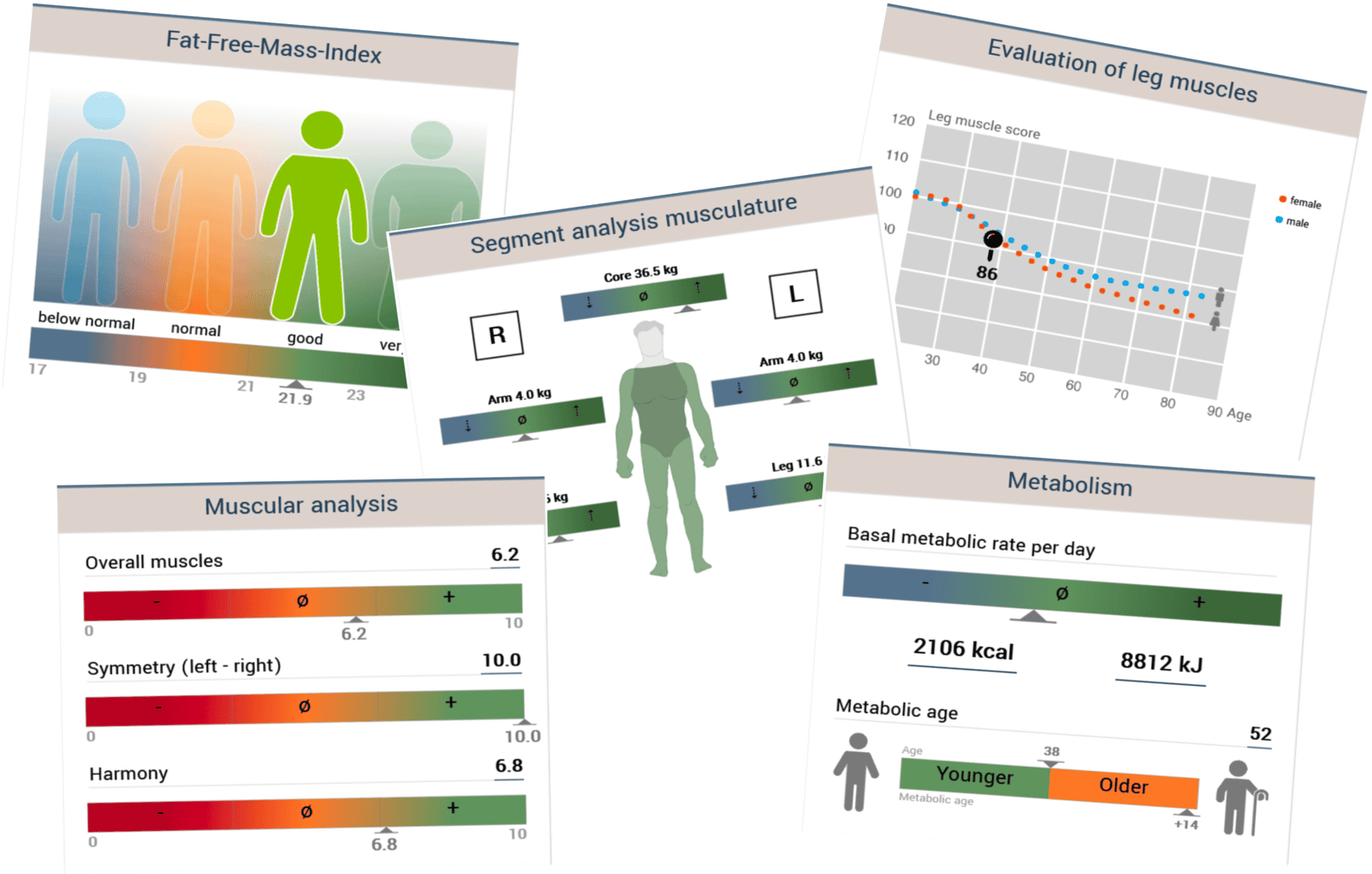 Body Composition Analysis Appointments